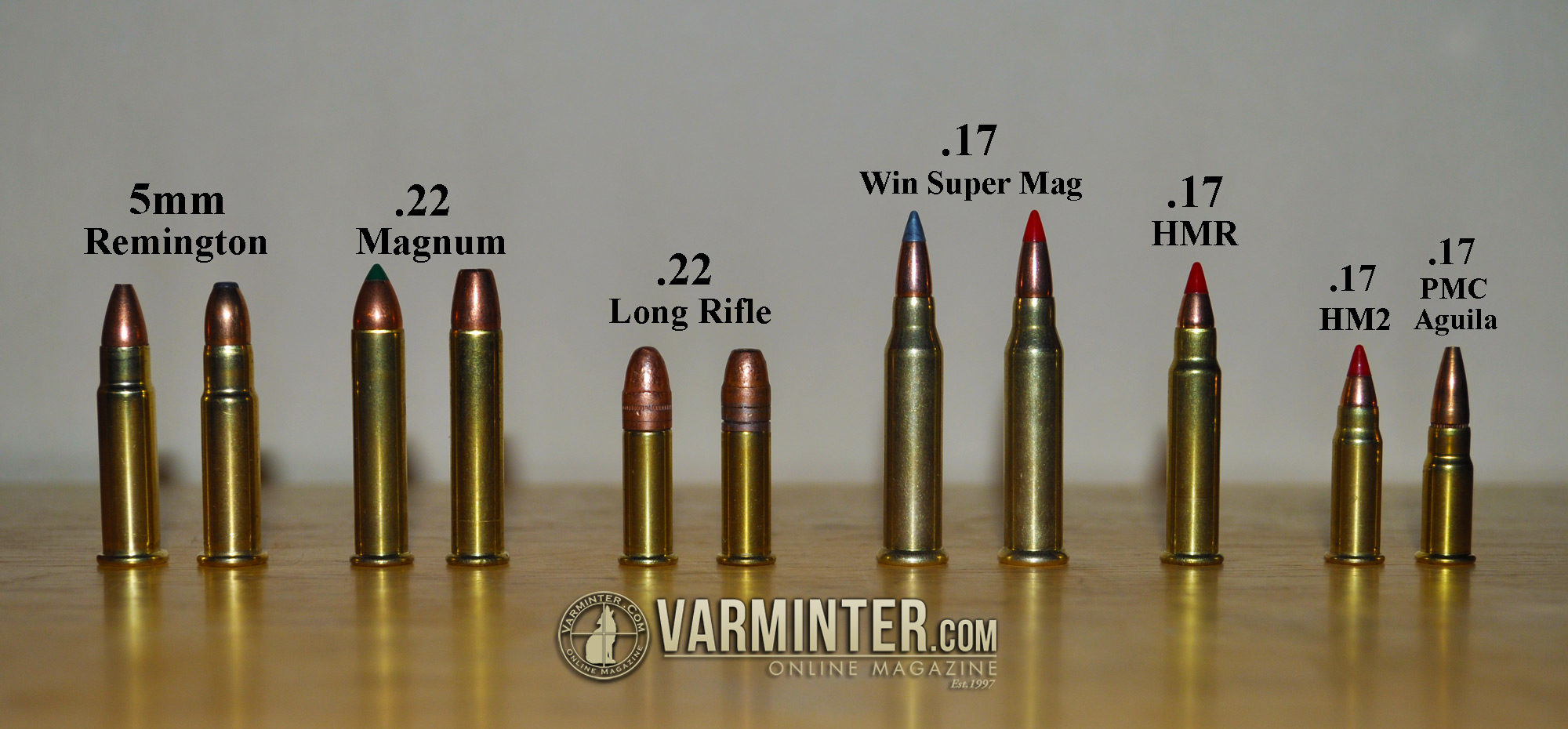 17 Cal Rimfire Rounds And Guns AR15 COM