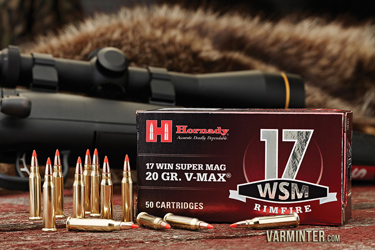 Horandy making the 17 WSM rounds now?