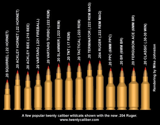 20cals - Guns, Loads, Optics and Gear for Varmint Hunting - The ...