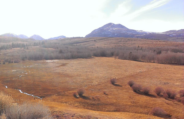 Open Field | Varminter Magazine