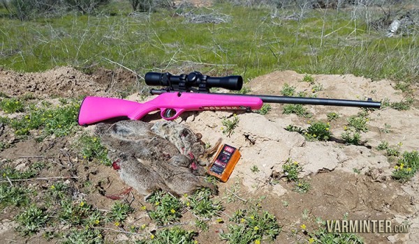 Savage Rascal 22 Long Rifle Review and Hunt Report | Varminter Magazine