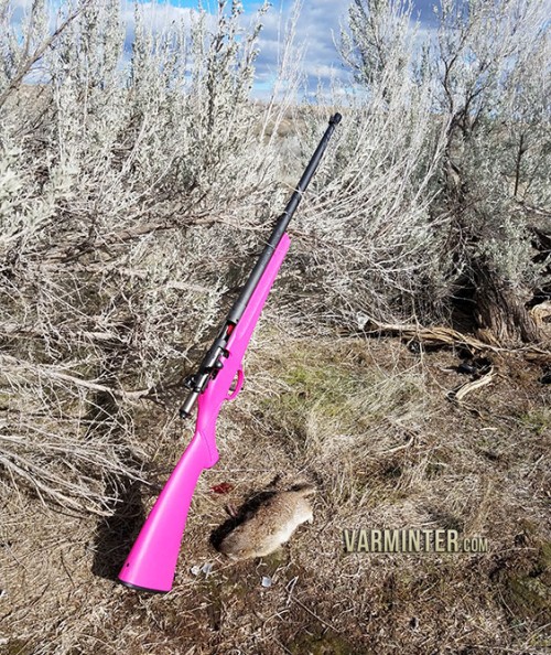 Savage Rascal 22 Long Rifle Review and Hunt Report | Varminter Magazine