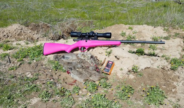 Ruger 77/17 – 17WSM – Review and Range Report | Varminter Magazine