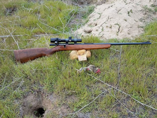 Hunting with the Hornady 218 Bee Factory Ammo | Varminter Magazine