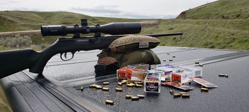 The New Savage Arms A17 in 17 Mach 2 – 17HM2 | Varminter Magazine