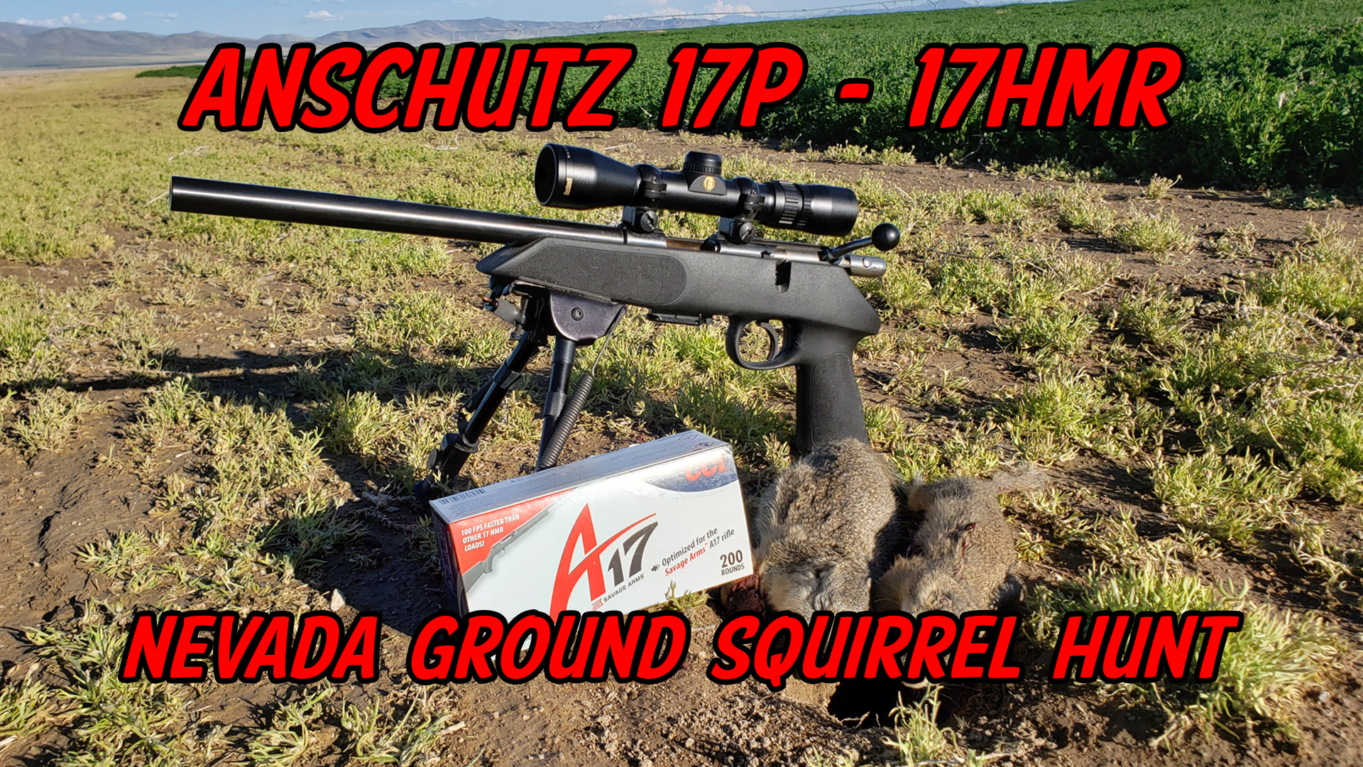 Anschutz-17P-17HMR-Pistol-Title | Varminter Magazine