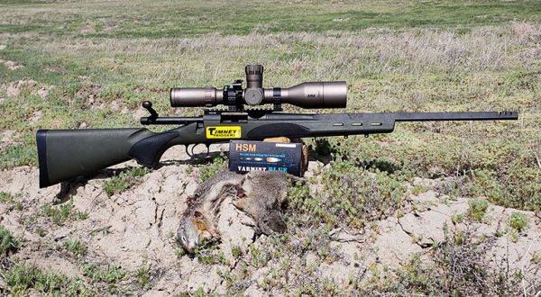 CZ Model 550 22 Creedmoor Build with Bonus Rockchuck Hunt | Varminter ...