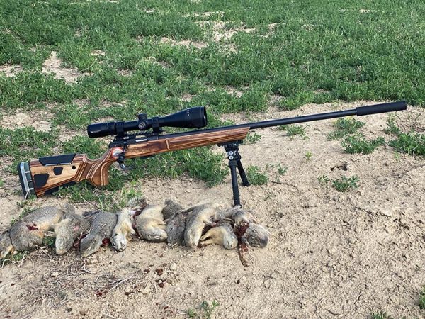 Yankee Hill Machine .22 Stinger Suppressor – Overview, Review and Hunt ...