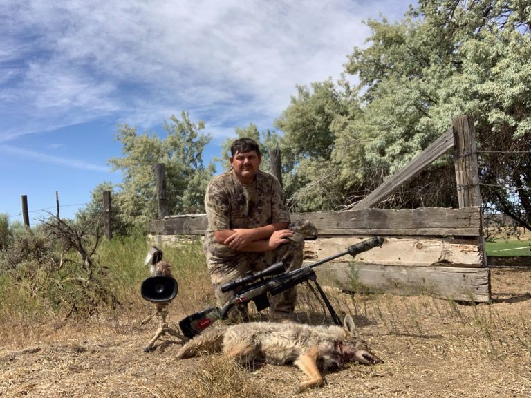 Savage Arms Impulse Predator 6.5 Creedmoor Review with Range and Hunt ...