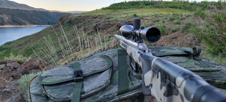 The .220 Swift – Speed King of the Factory 22 Centerfire Cartridges ...