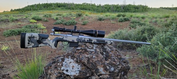 The .220 Swift – Speed King of the Factory 22 Centerfire Cartridges ...