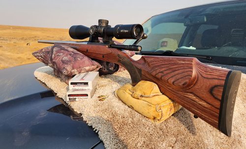 The 17 and 221 Remington Fireball Rifle Projects | Varminter Magazine