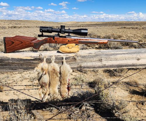 The 17 and 221 Remington Fireball Rifle Projects | Varminter Magazine