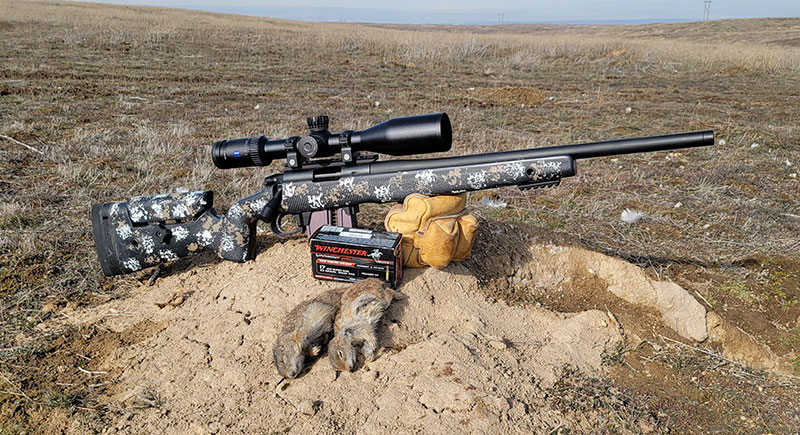 Index of /wp-content/uploads/2022/07