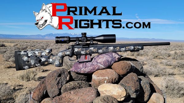 Primal Rights 17WSM – The Most Accurate 17 WSM Made? | Varminter Magazine