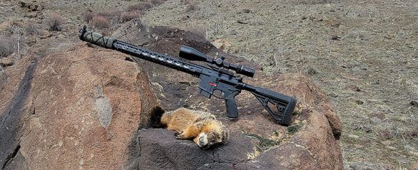 Hornady 6MM ARC Full Review and Hunt Report from a Varmint Hunter’s ...