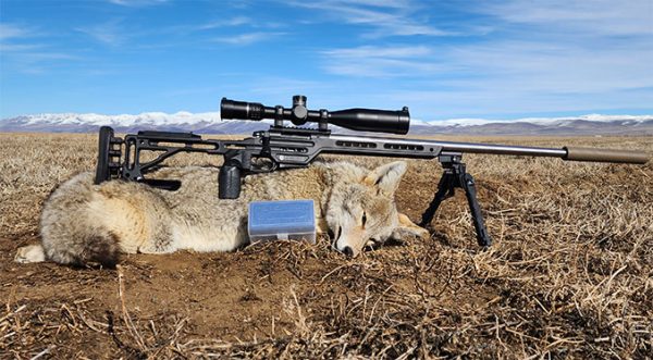 Varminter Magazine | Online Varmint Hunting Magazine