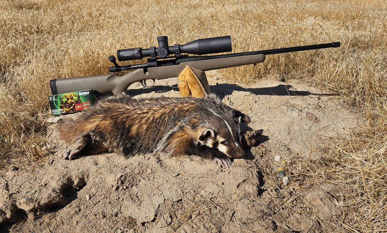 Mossberg Patriot Predator .243 Rifle – Full Overview and Range Test ...