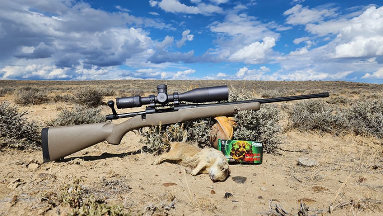 Mossberg Patriot Predator .243 Rifle – Full Overview and Range Test ...