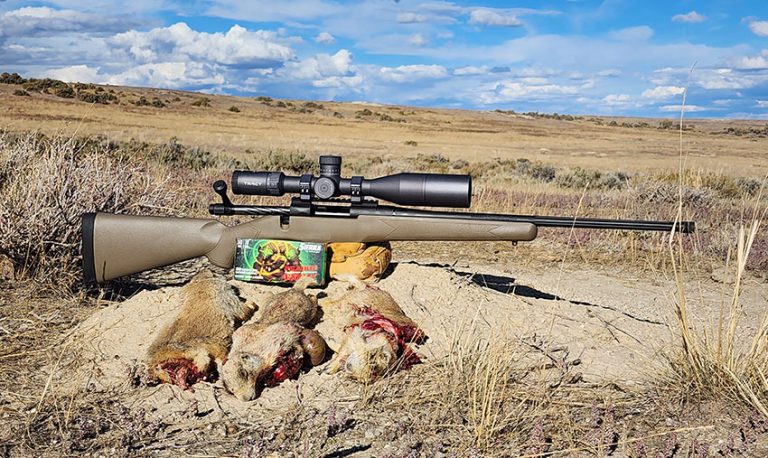 Mossberg Patriot Predator .243 Rifle – Full Overview and Range Test ...