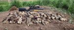 Howa M1100 17HMR Bolt Action Rimfire Rifle – Full Overview and Ground ...