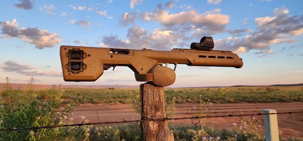 Desert Tech TREK-22 Ruger 10-22 Bullpup Stock | Varminter Magazine