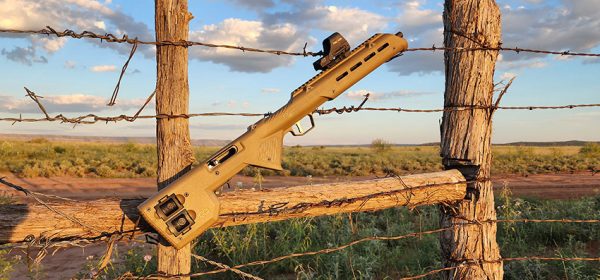 Desert Tech TREK-22 Ruger 10-22 Bullpup Stock | Varminter Magazine