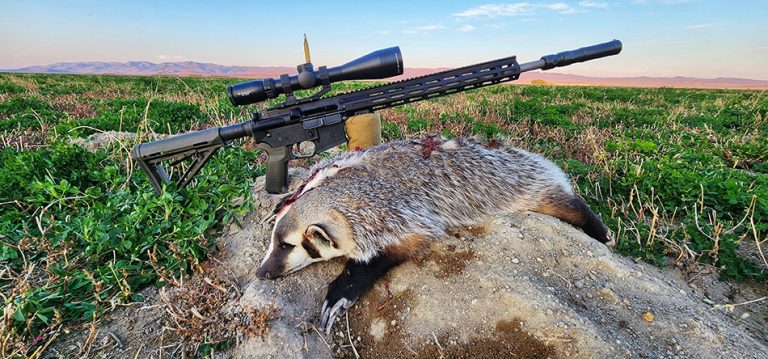 Complete Overview of the .17-5.56 KAK Cartridge by KAK Industry ...