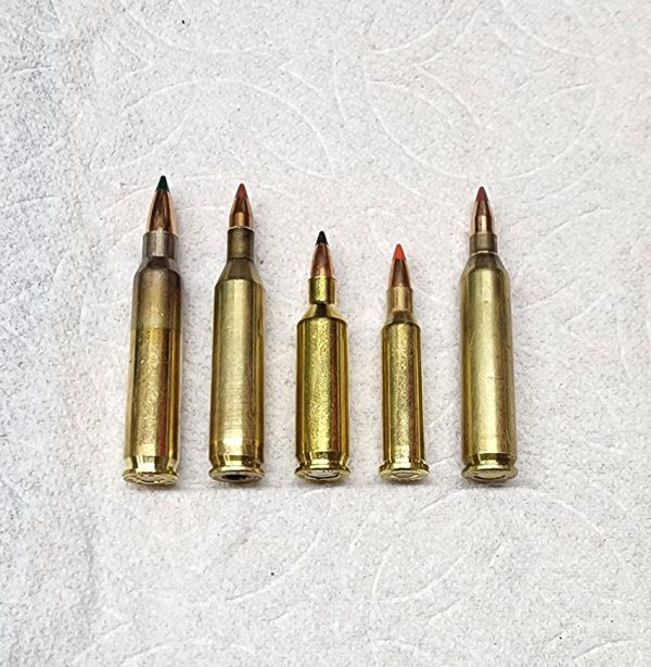 Complete Overview of the .17-5.56 KAK Cartridge by KAK Industry ...